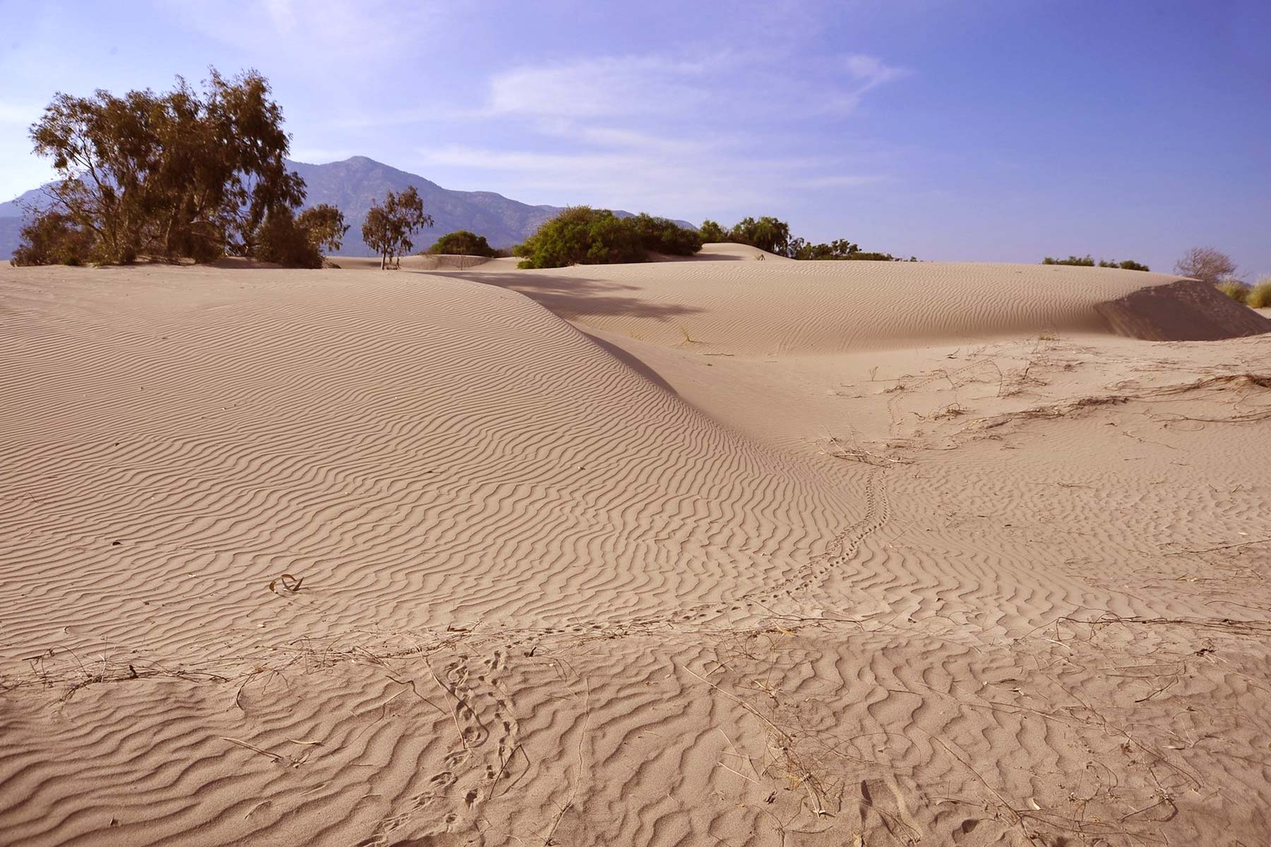 Erozyon ve heyelan arasındaki farkları araştırarak bir rapor halinde ...